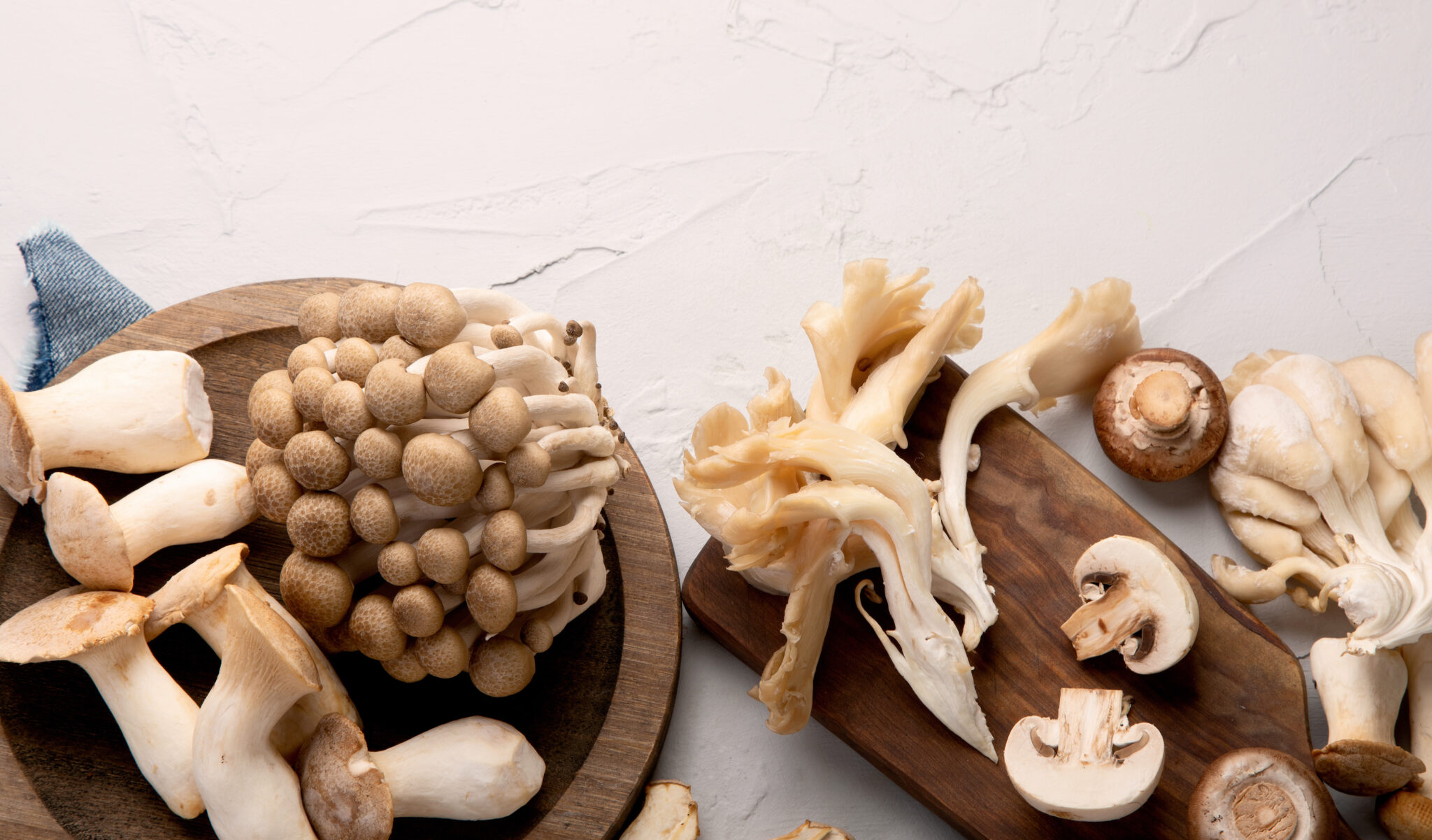Mushroom Chocolate Bars UK: A Legal and Delicious - magic mushrooms uk